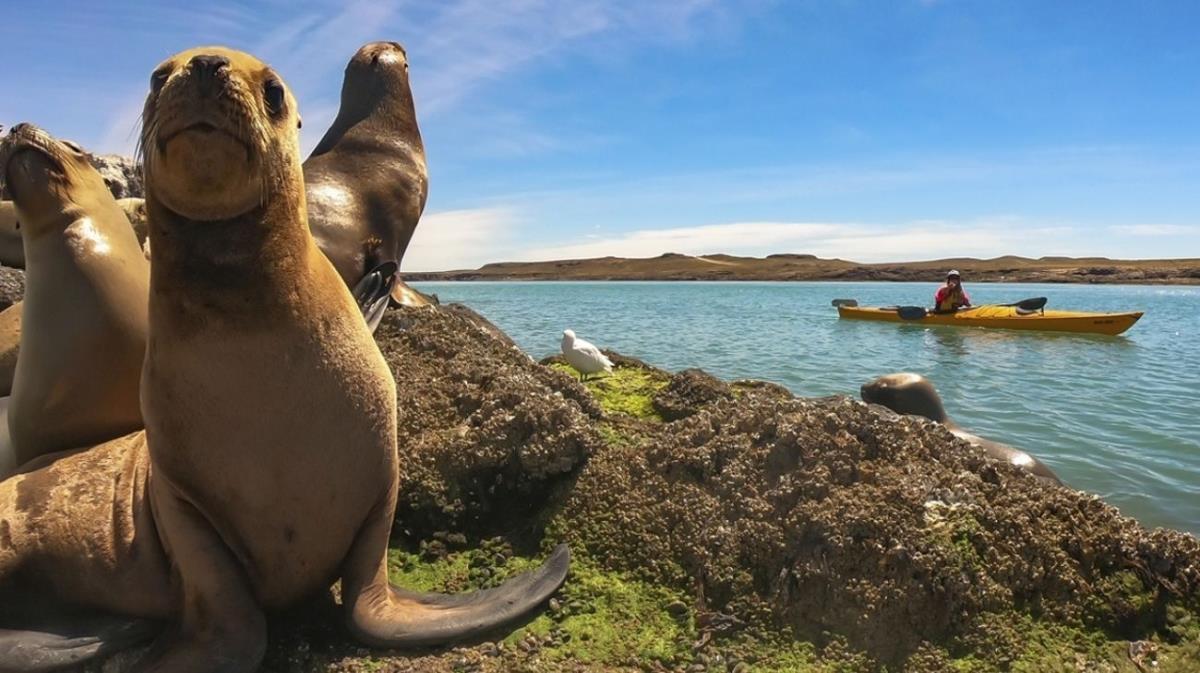 Reserva Natural Cabo Blanco - Guía Turista Argentina